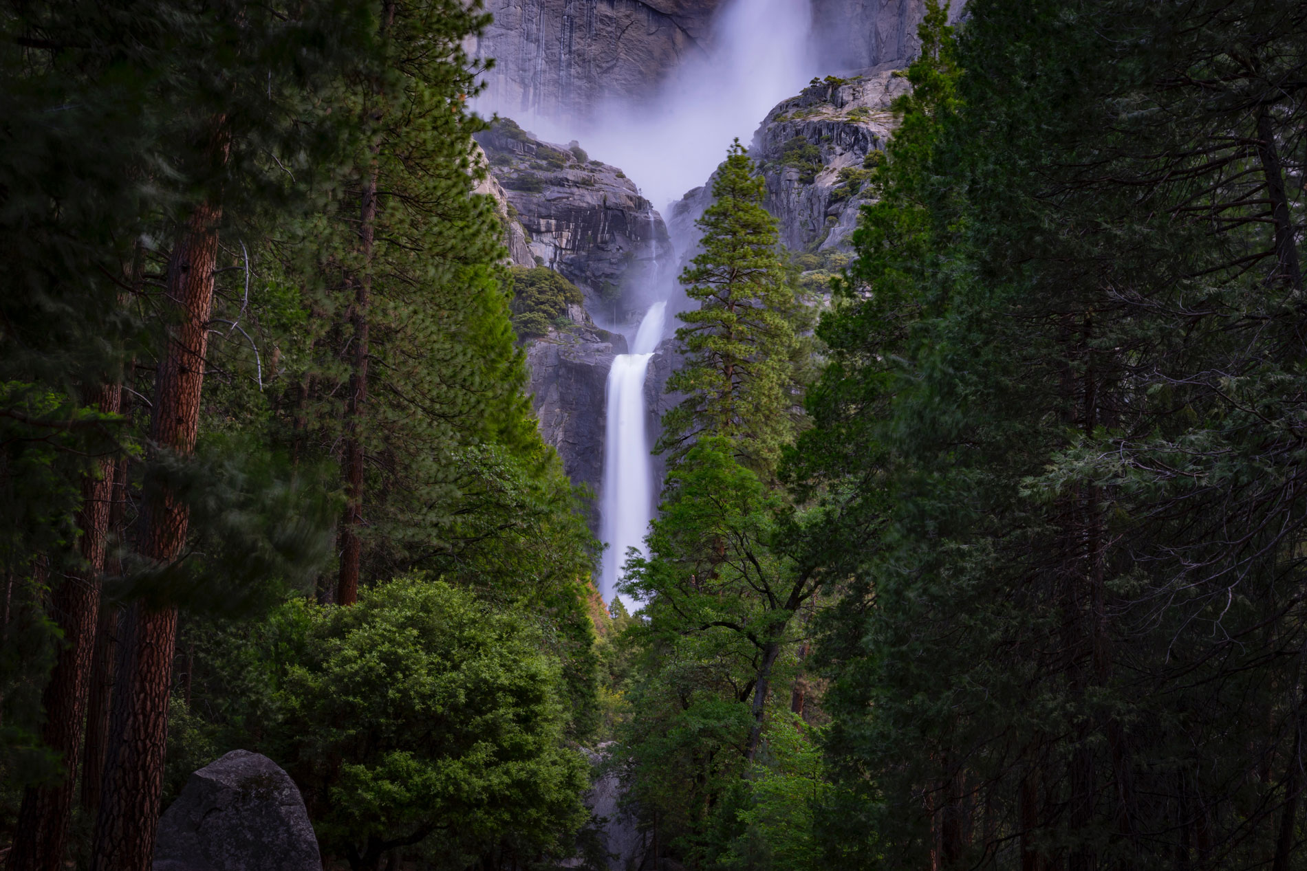 Private Yosemite One Day Tour | White Wolf Luxury Tours