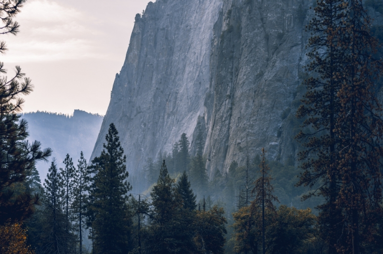 Private Yosemite Tour Safety | White Wolf Luxury Tours