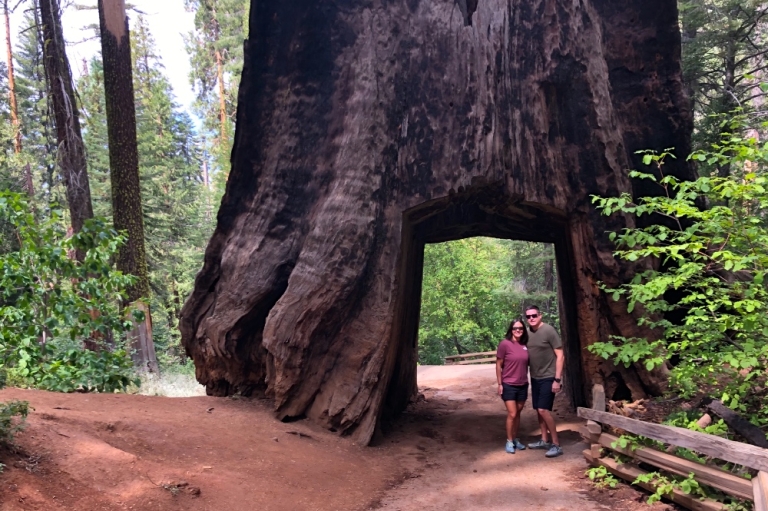 Yosemite’s Giant Sequoias | White Wolf Private Tours